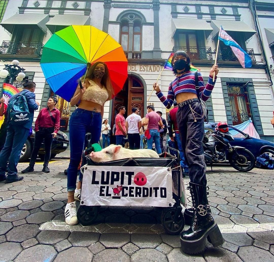 Lupito, el activista poblano - Identidad Puebla